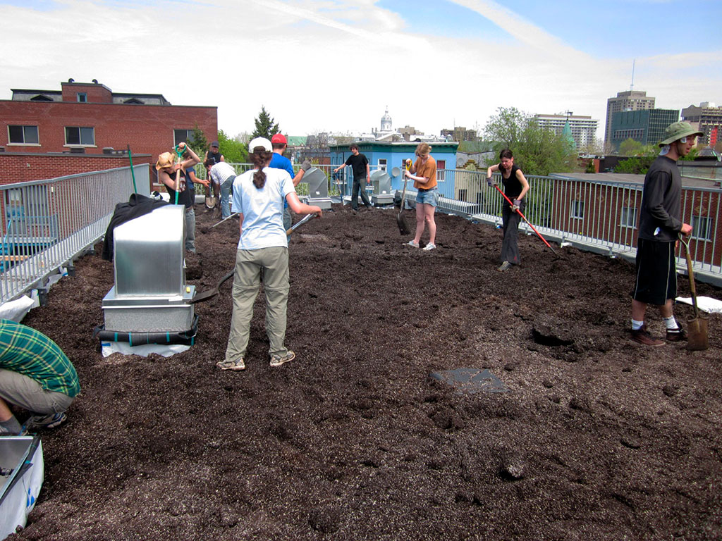 Santropol Roulant - La ligne verte