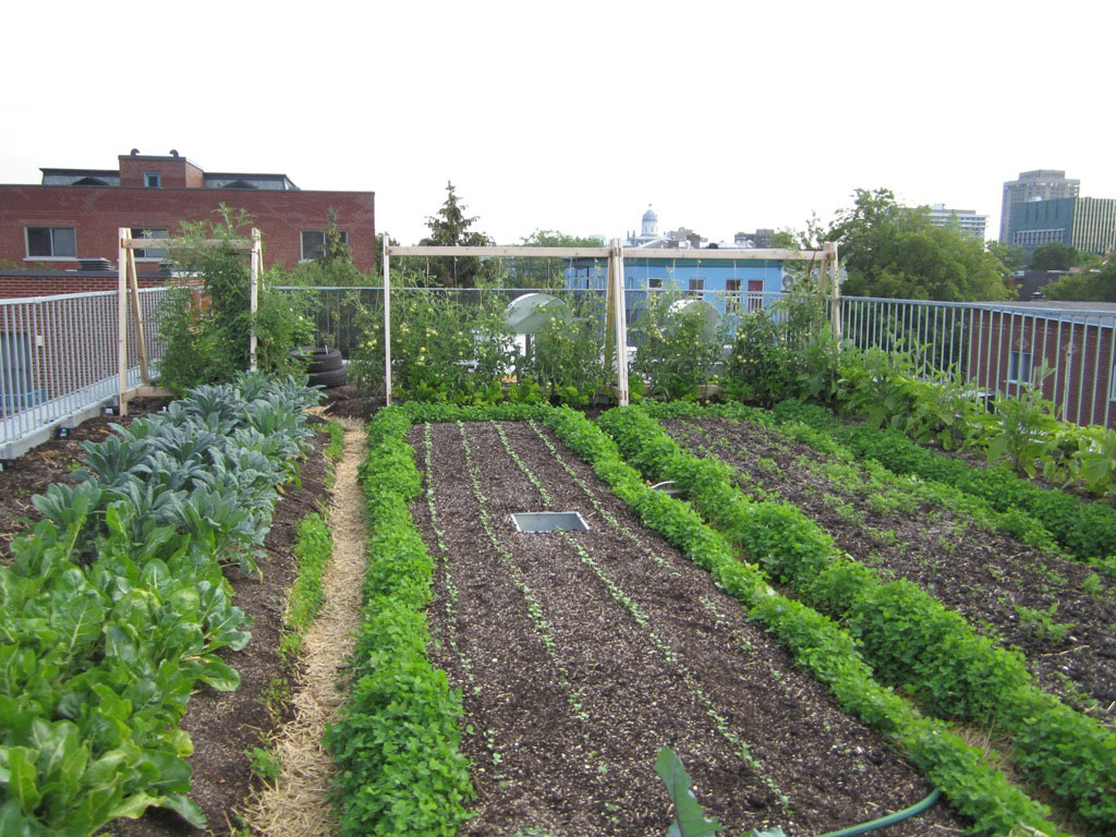 Santropol Roulant - La ligne verte
